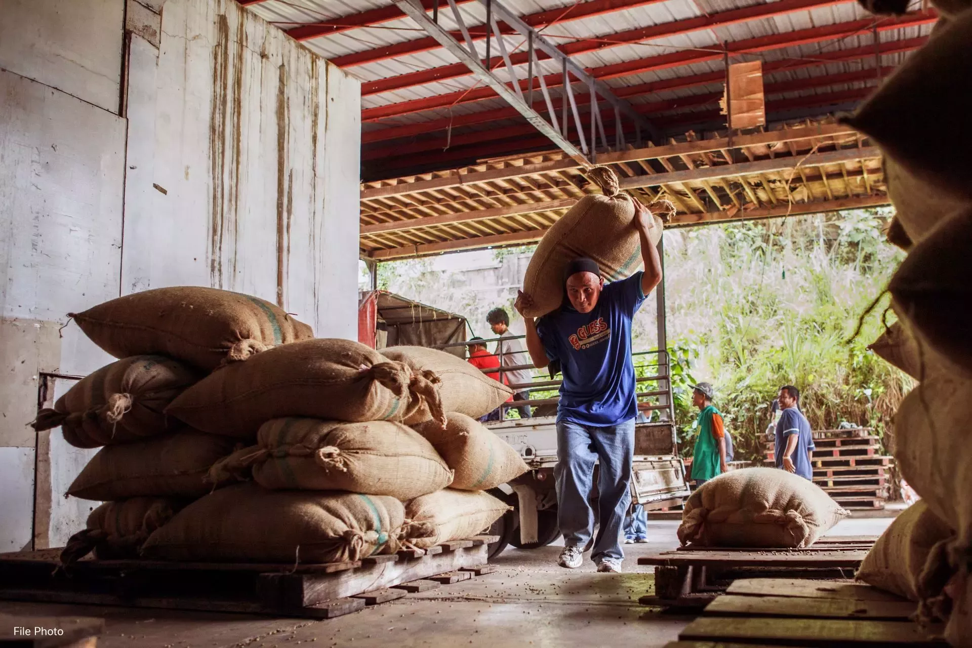 Our News Feed | Nestlé Philippines